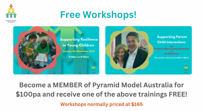 Inclusion & the Pyramid Model – Pyramid Model Australia Inclusion & the Pyramid Model – Pyramid Model Australia